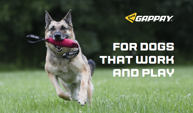 Sport Dog Equipment | Gappay | Sprenger | Dakota 283 | Top Matic – Vision K9 Inc.